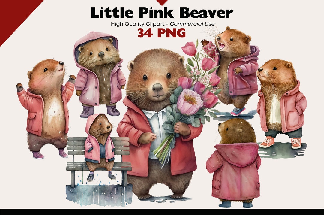 Little Beaver in Pink Jacket Clipart Bundle, Baby Beaver Graphics ...