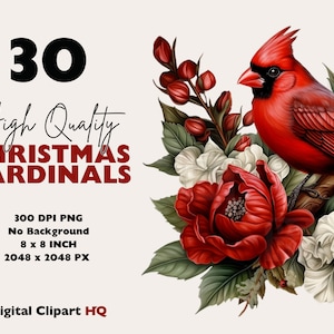 Christmas Red Cardinal Clipart Bundle, Winter Bird Watercolor, Two ...