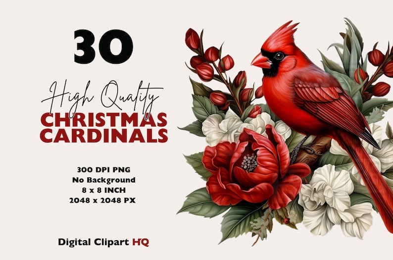 Christmas Red Cardinal Clipart Bundle Winter Bird Watercolor - Etsy ...