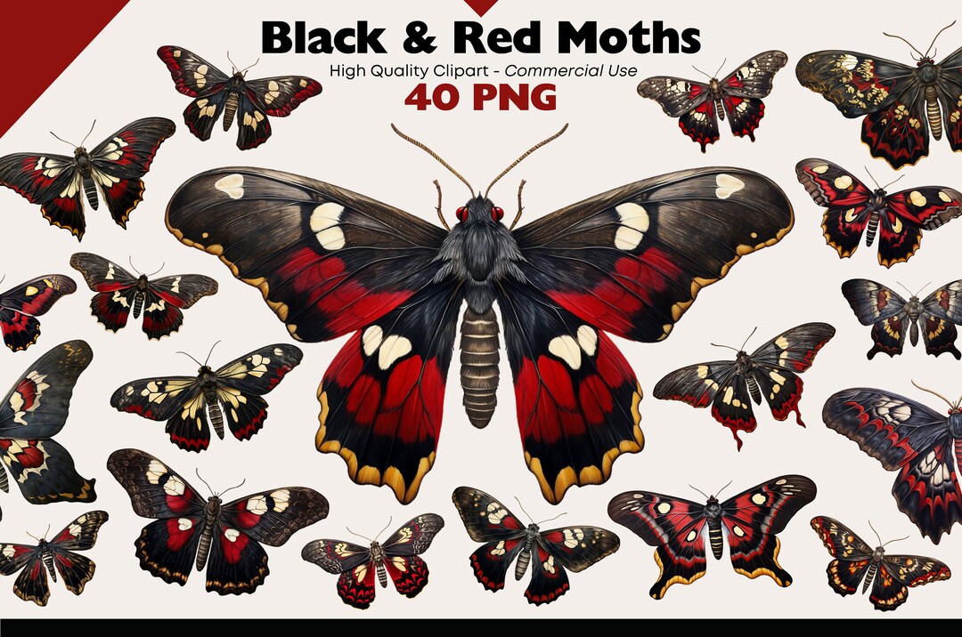 Black and Red Moths Clipart, PNG Moth Watercolor, Butterfly PNG ...