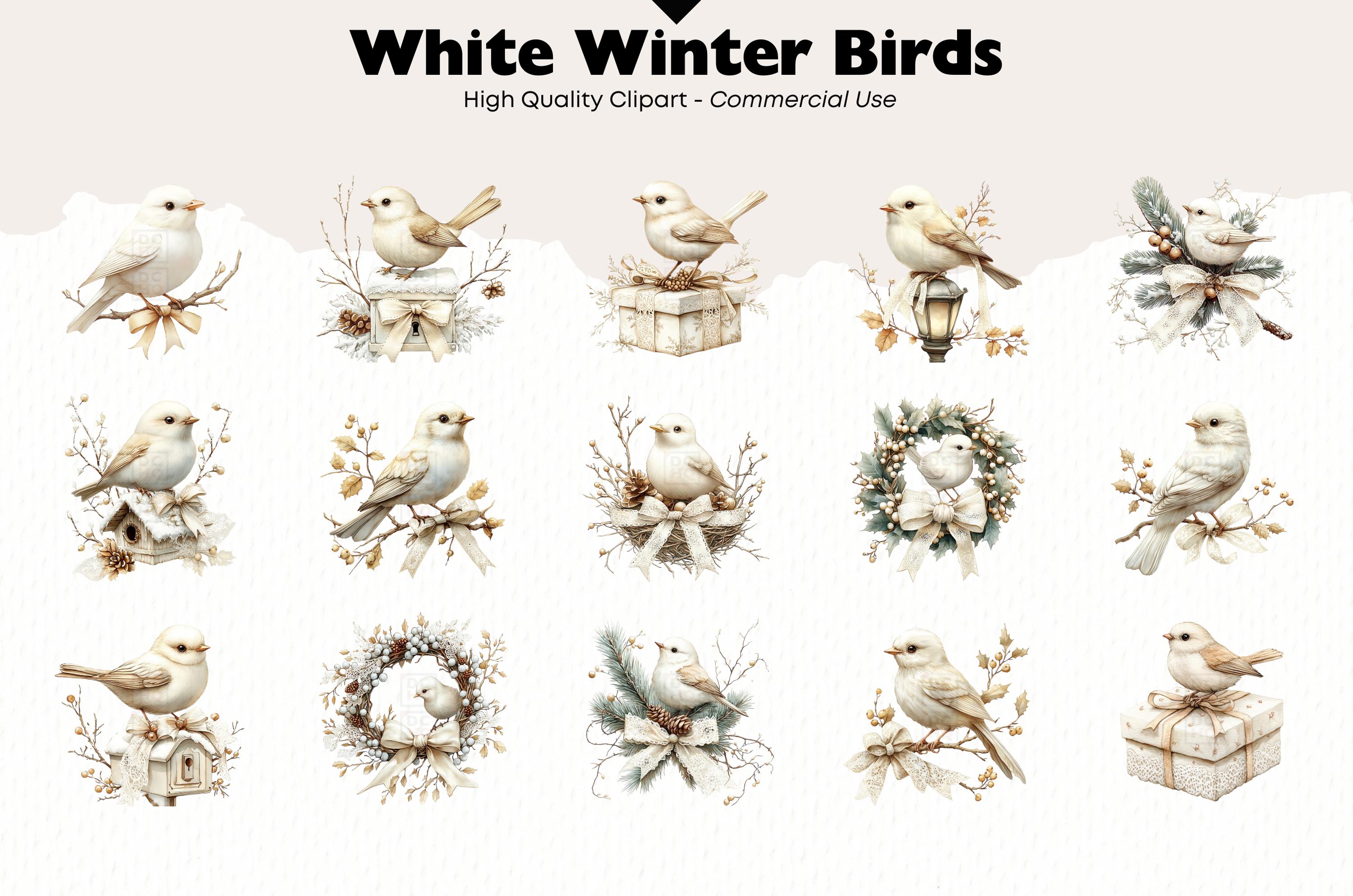 White Winter Bird Clipart Bundle Christmas Bird Watercolor Two Birds on ...
