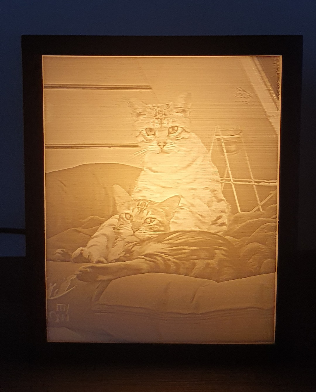 Lithophane Illuminated, Light Image, Night Light, 3D Printed - Etsy