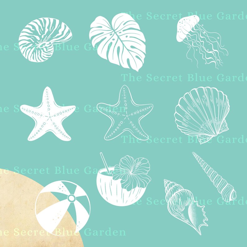 Clipart + Seamless Digital Paper PNG, Tropical Summer, Holidays, Exotic ...