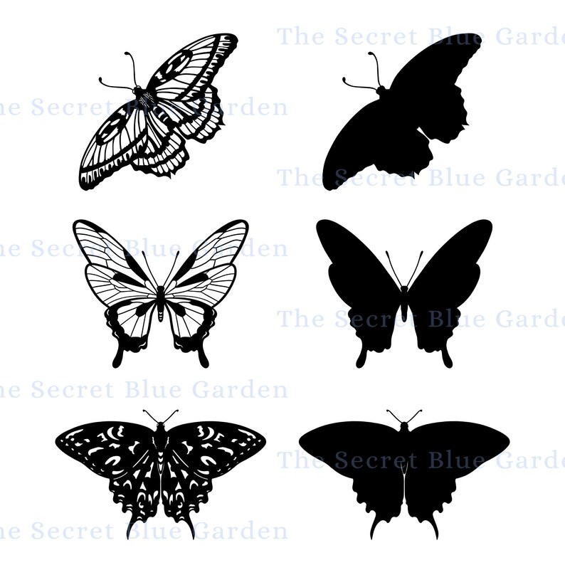 Butterfly SVG and PNG Files for Cricut, Silhouette, Laser Cutting ...
