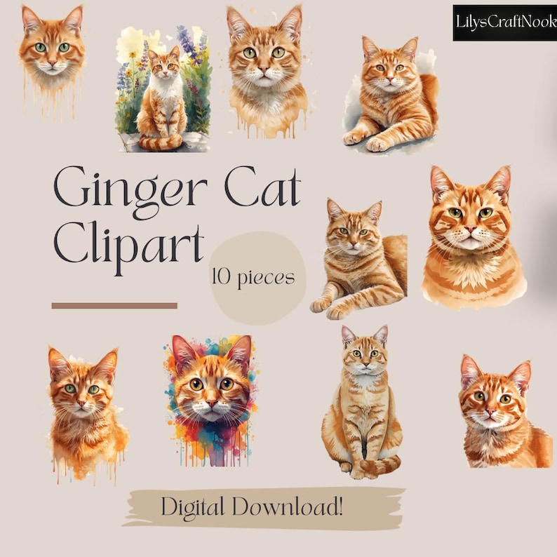 Ginger Tabby Cat Watercolor Clipart: Transparent Pngs (digital Download) - Etsy