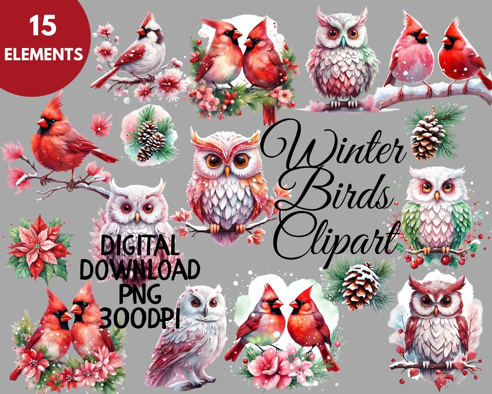 Watercolor Winter Birds Clipart, PNG İllustration, Personal and ...