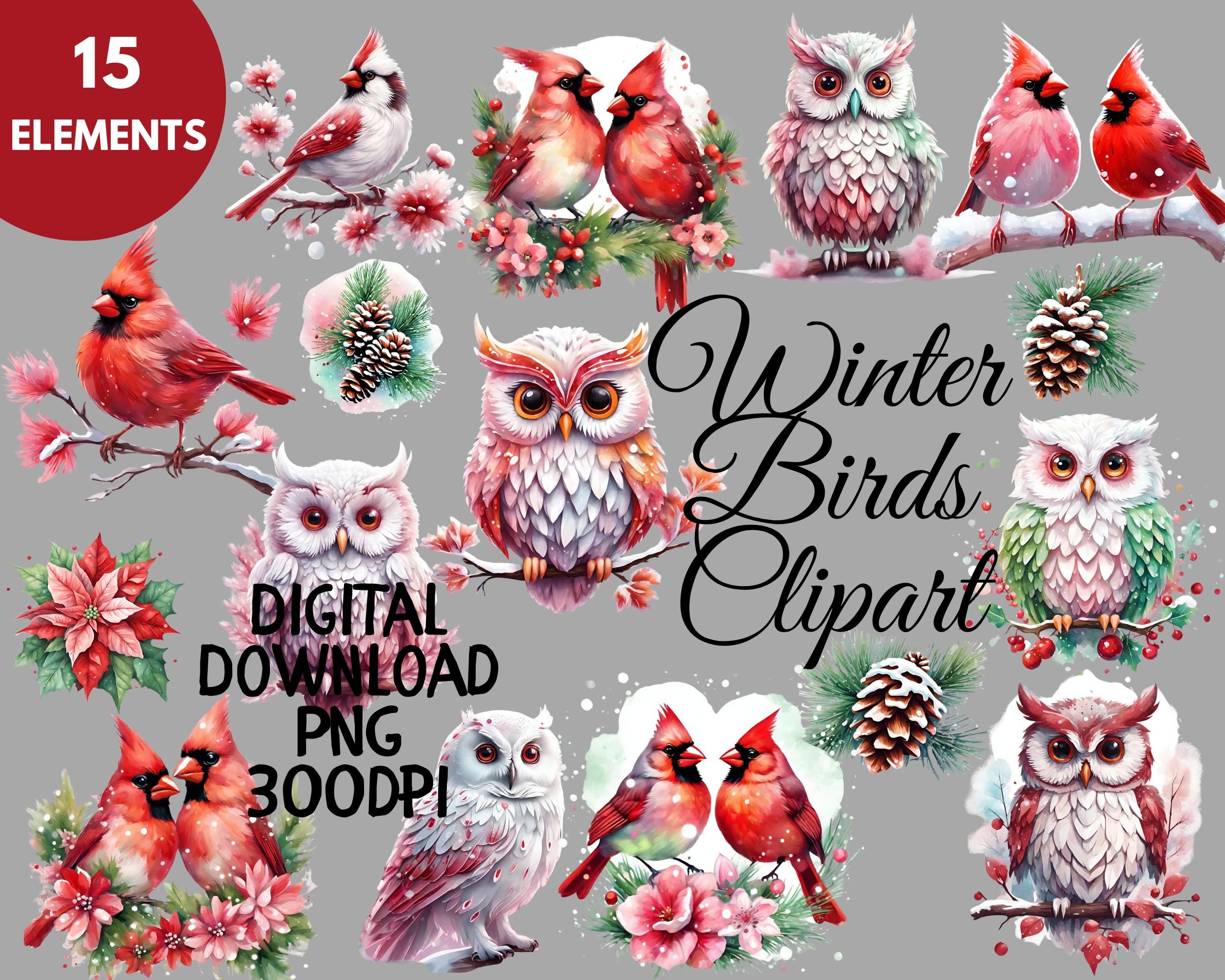 Watercolor Winter Birds Clipart, PNG İllustration, Personal and ...