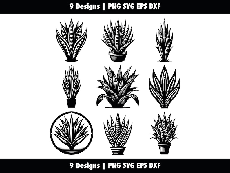 Snake Plant Bundle, Snake Plant Leaf, Svg Png Eps Dxf, Sansevieria ...