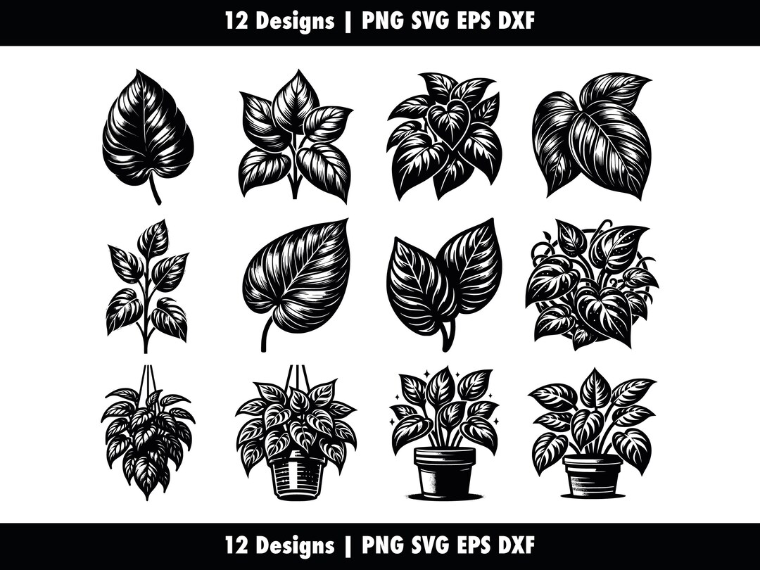 Golden Pothos Leaves Bundle, Silver Vine, Svg Png Eps Dxf, Devil's Ivy ...