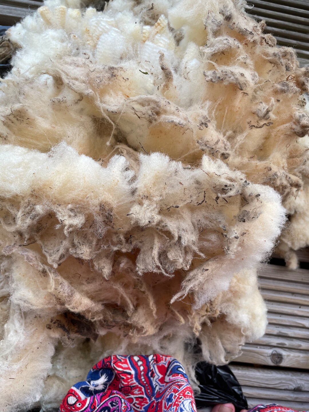 Raw Unwashed Wool - Etsy UK