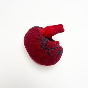 Felted SIDNEY the Kidney Handmade Comfort Toy - Etsy