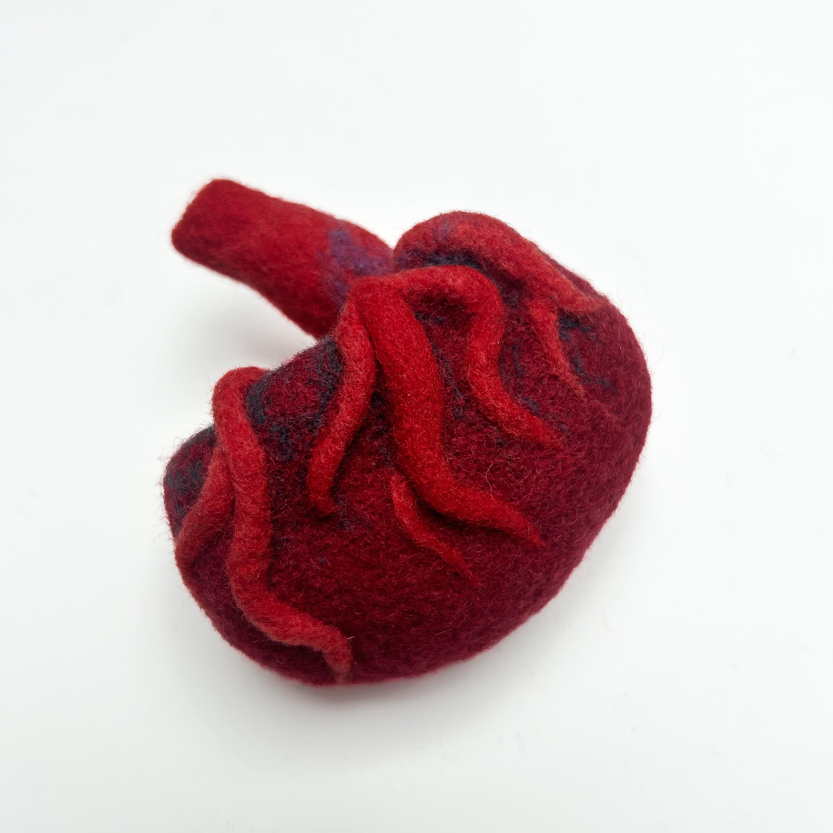 Felted SIDNEY the Kidney Handmade Comfort Toy - Etsy