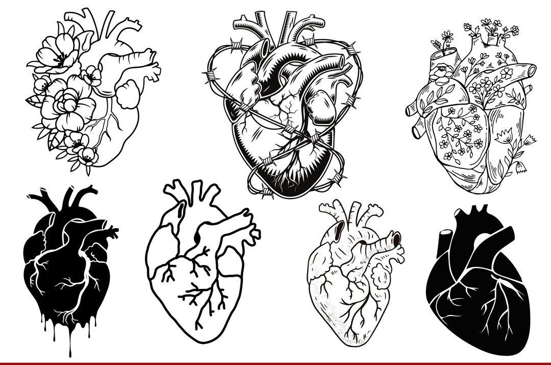 Anatomical Heart Svg Bundle, Flower Heart Svg, Human Heart Svg, Anatomy ...