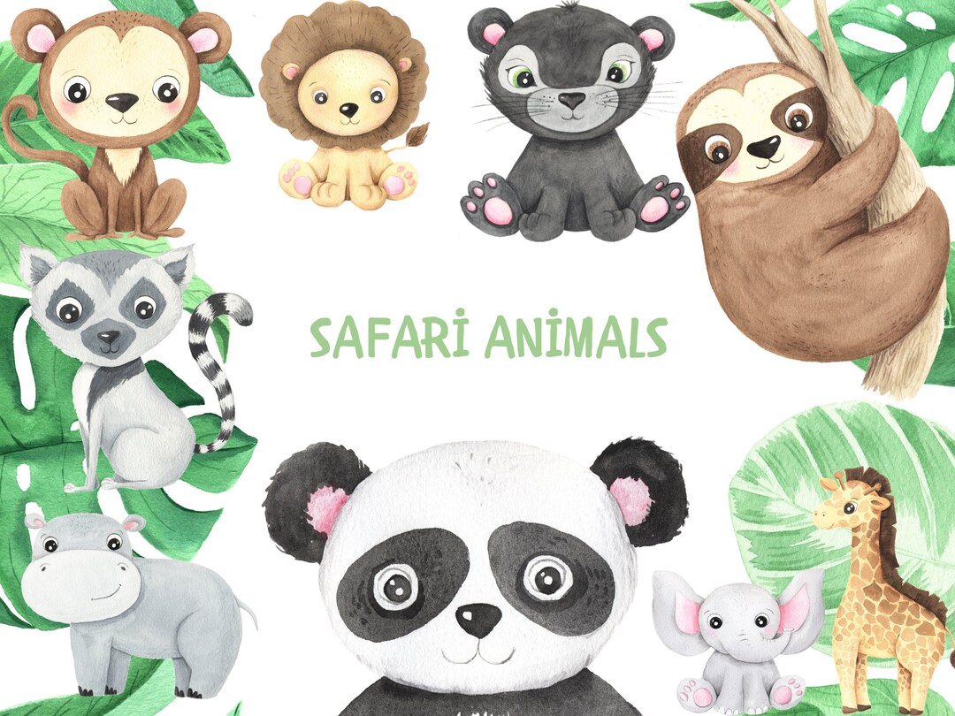 Baby Safari Animals, Watercolor Clipart, Baby Shower, Cute Jungle ...