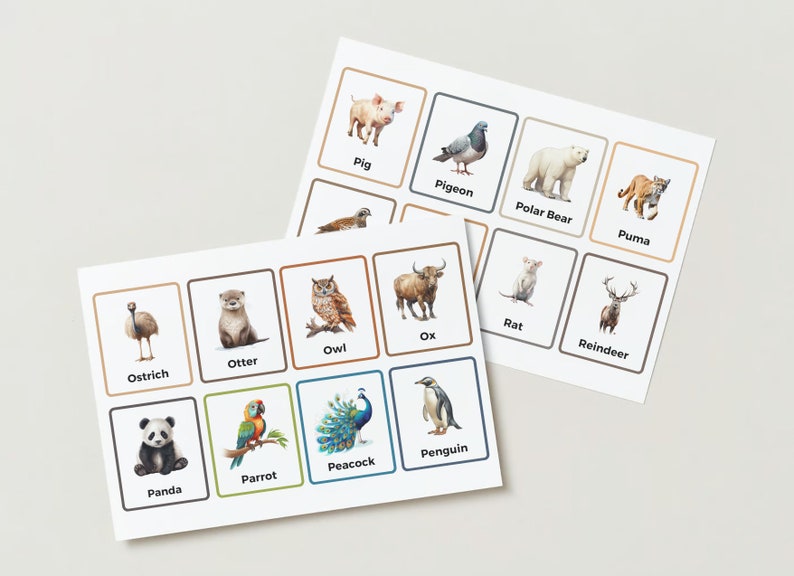 150 Flash Cards for Kids Mega Pack Matching Printable Flash Cards Learn ...