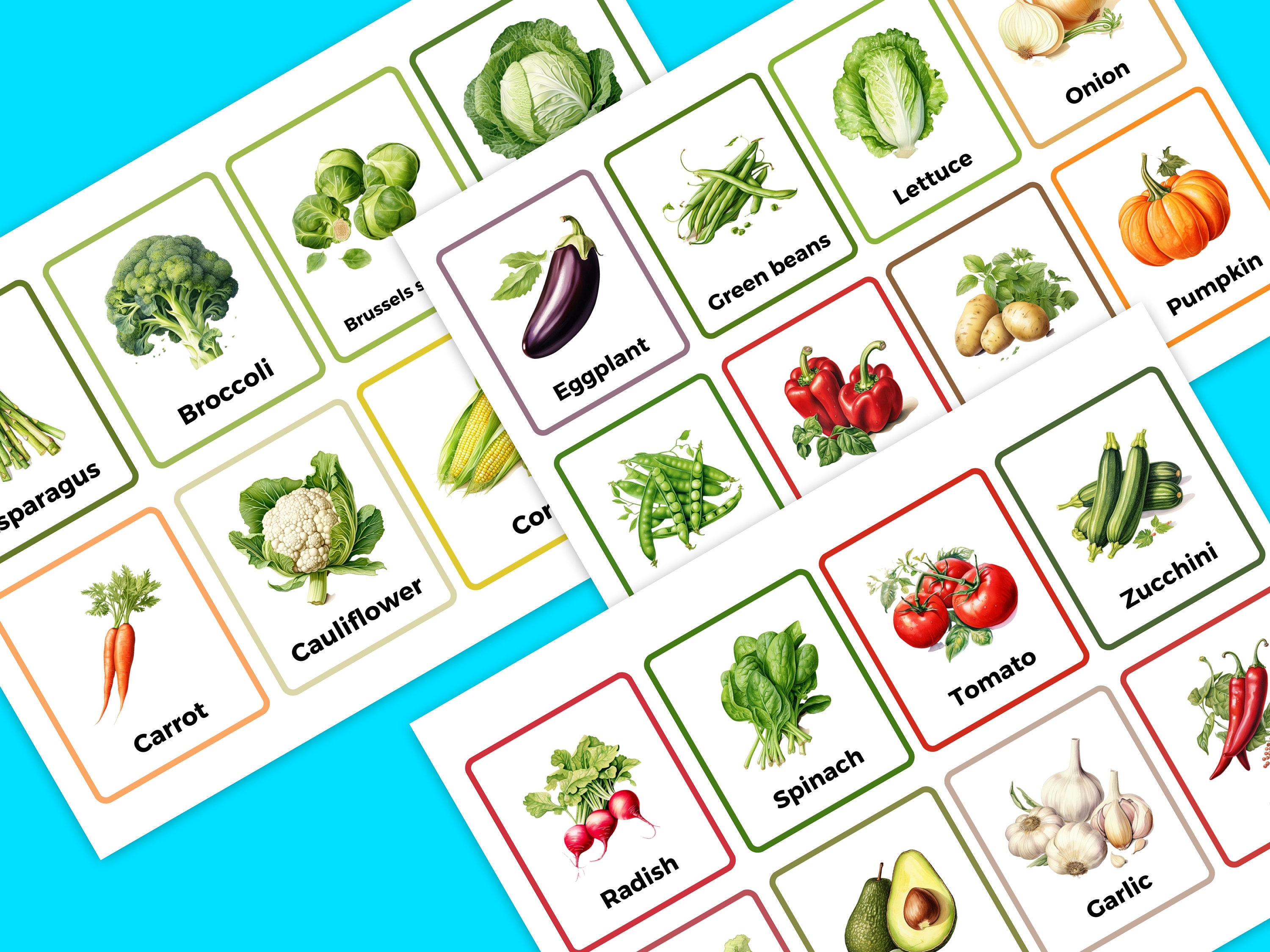 24 Vegetable Flash Cards Kids Matching Printable Flash Cards Flash Card ...