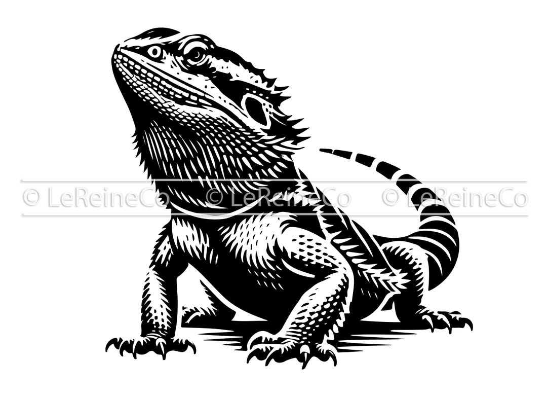 Bearded Dragon Vector Graphic Svg, Lizard Svg Png Eps Dxf, Reptile Cut ...