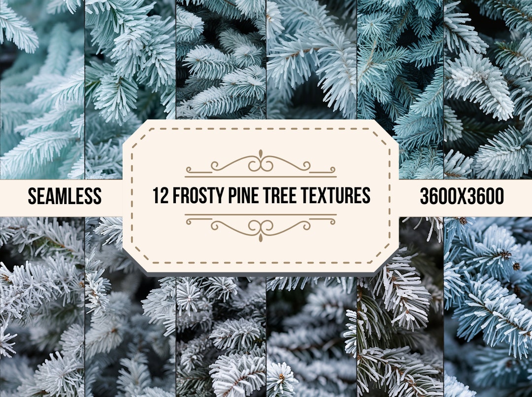 12 Frosty Fir Tree Textures, Pine Tree and Snow Digital Texture, Photo ...