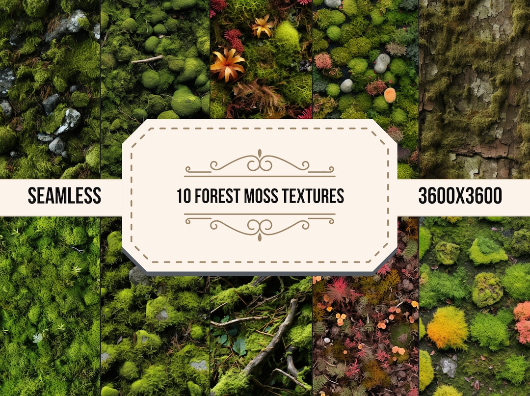 Moss Photo Texture, Digital Patterns of Forest Moss, Moss Photography ...