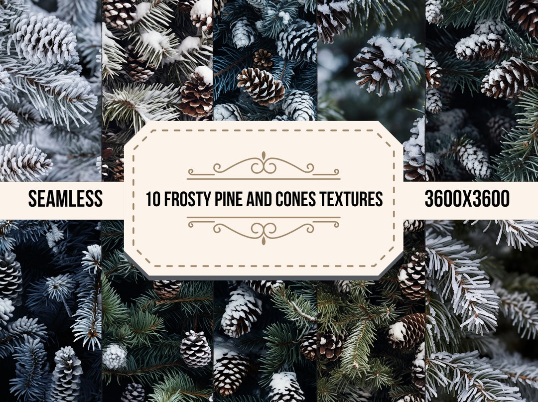 10 Pine Tree, Cones and Snow Textures, Fir Pines Digital Texture, Photo ...