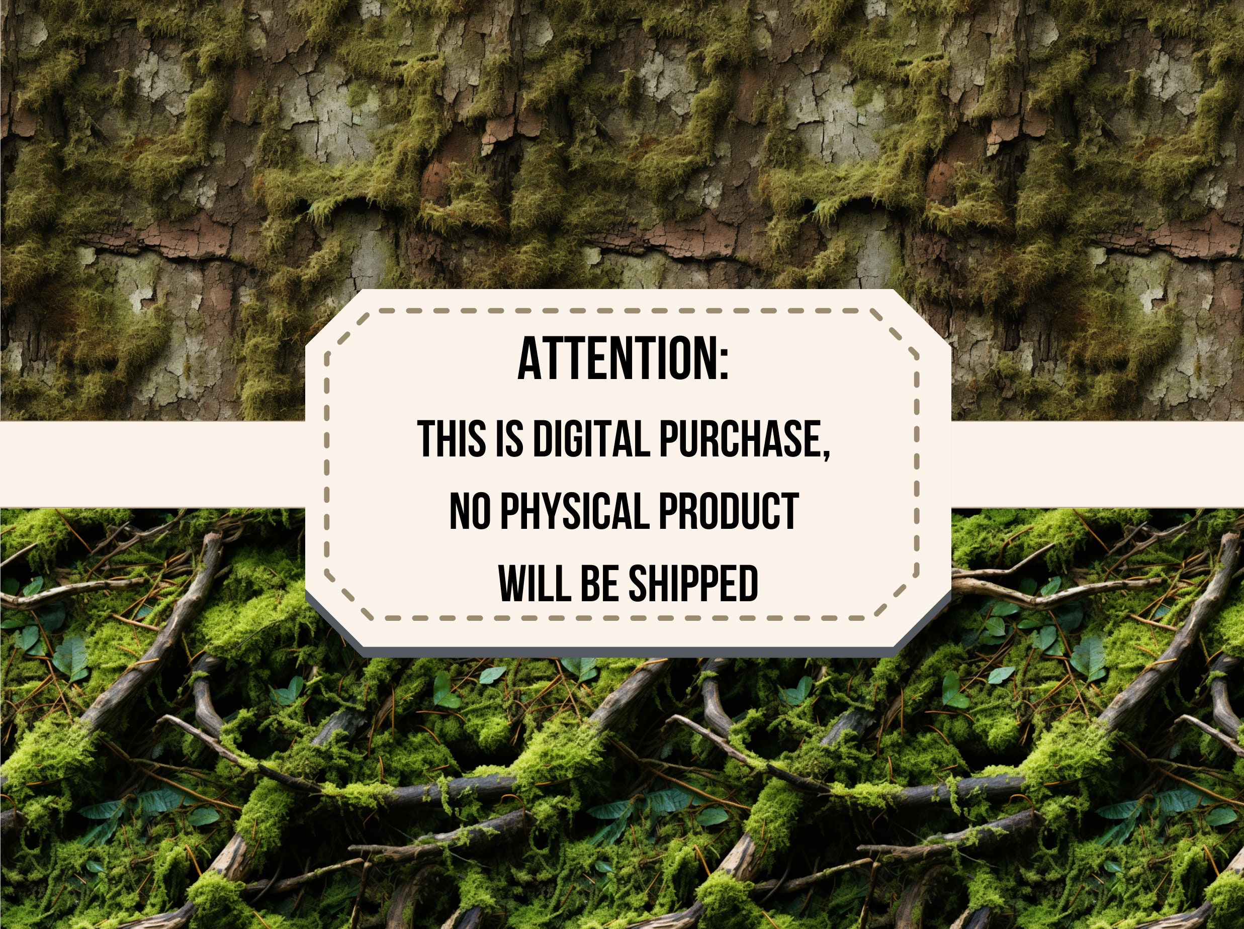 Moss Photo Texture, Digital Patterns of Forest Moss, Moss Photography ...