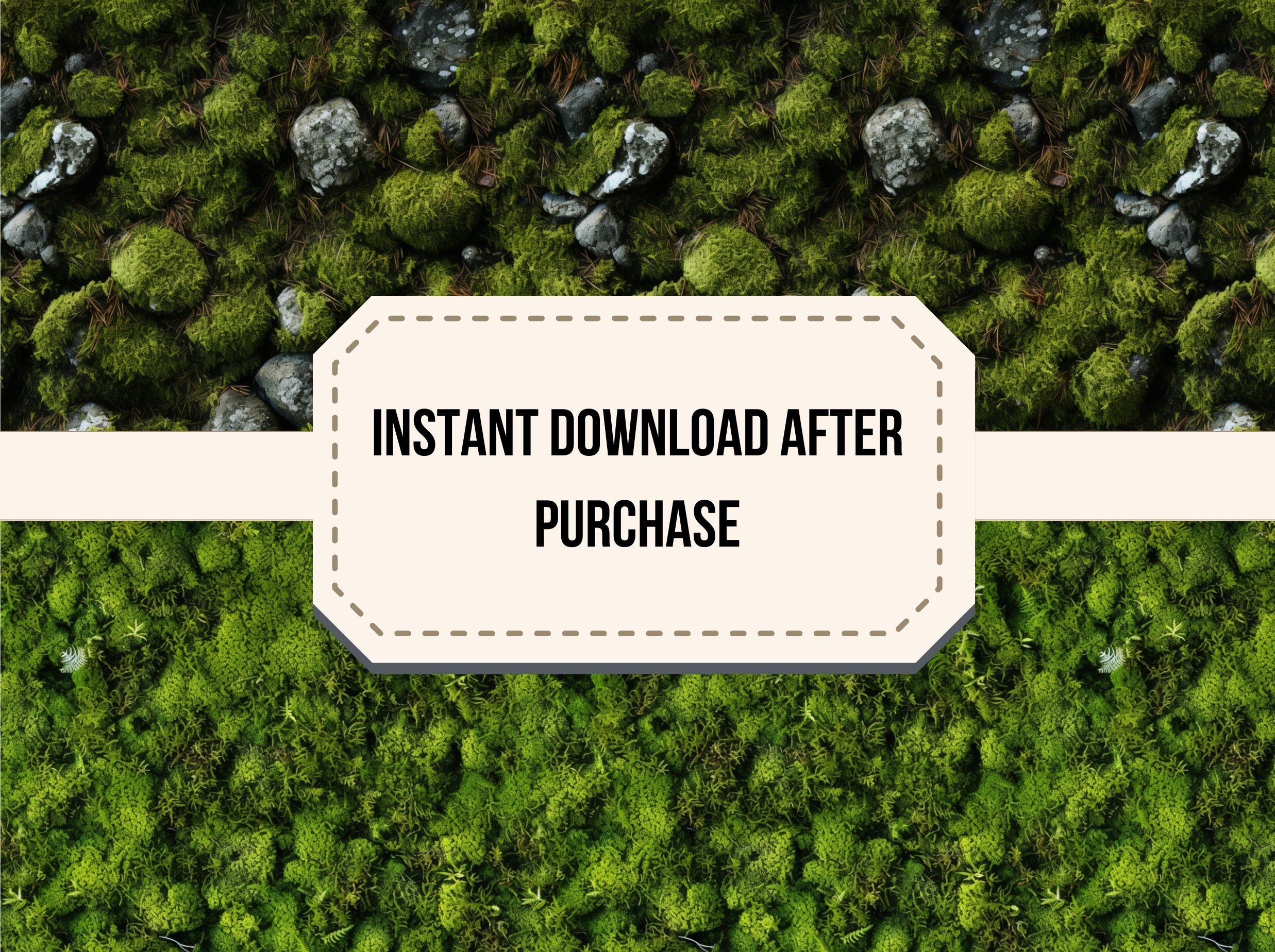 Moss Photo Texture, Digital Patterns of Forest Moss, Moss Photography ...