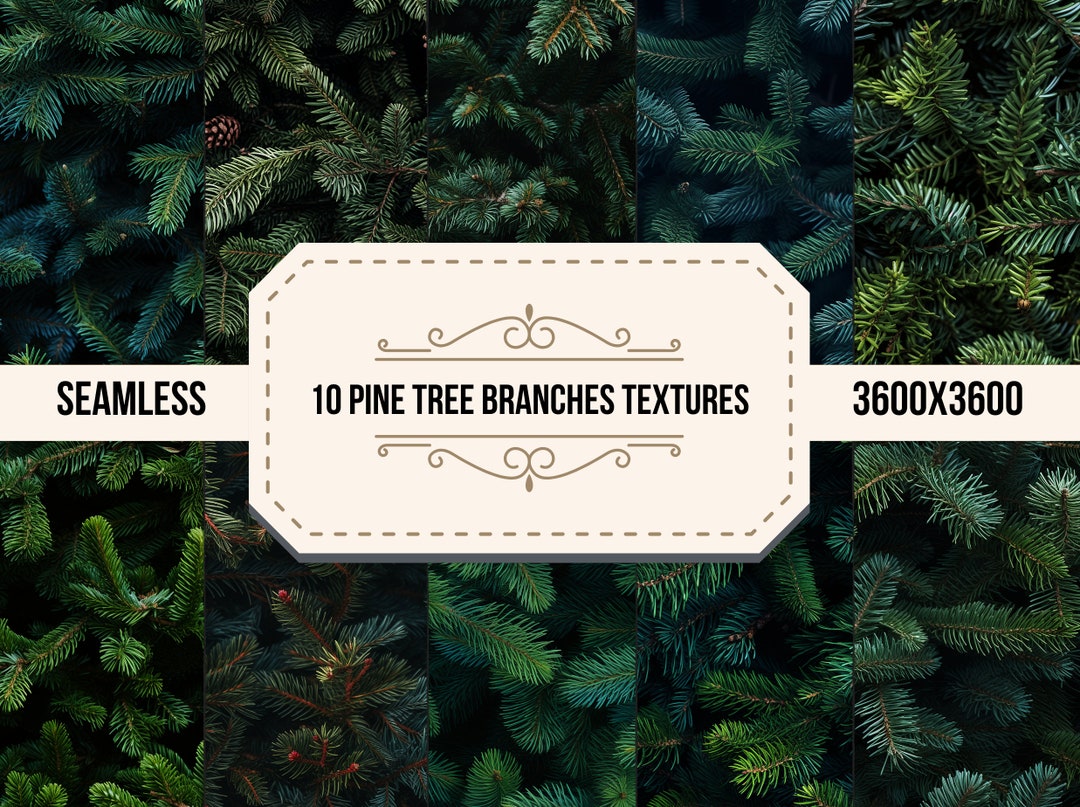 Textures de forêt de sapin texture numérique de pin fond de - Etsy France