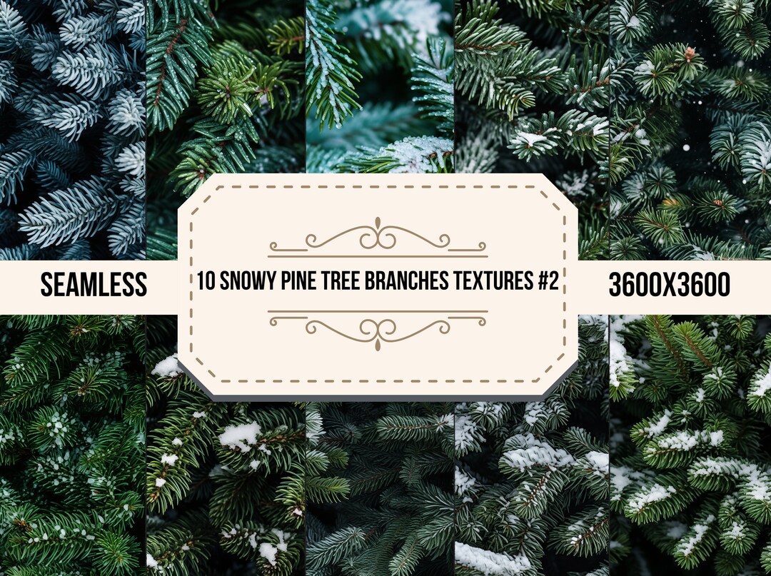10 Pine Tree and Snow Textures #2, Snowy Fir Digital Texture, Photo ...