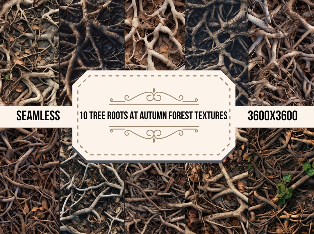 Autumn Forest Roots Photo Textures, Digital Patterns Late Autumn Forest ...