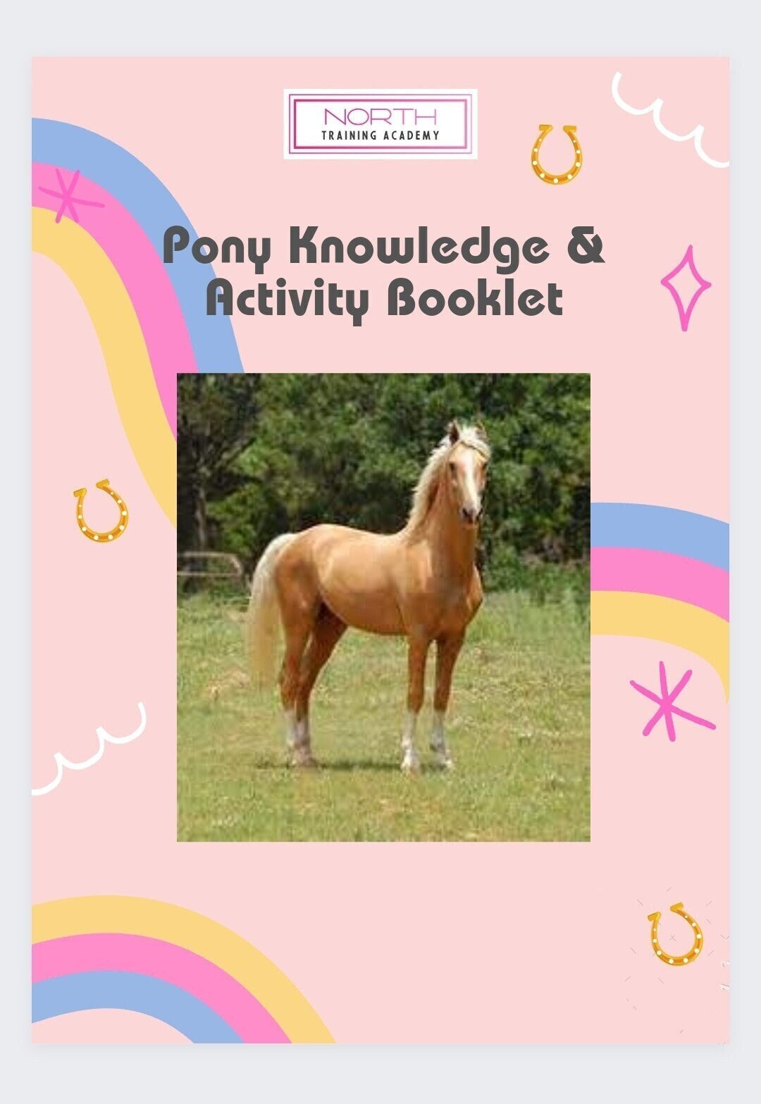EDITABLE Pony Knowledge & Activity Booklet Digital Download - Etsy