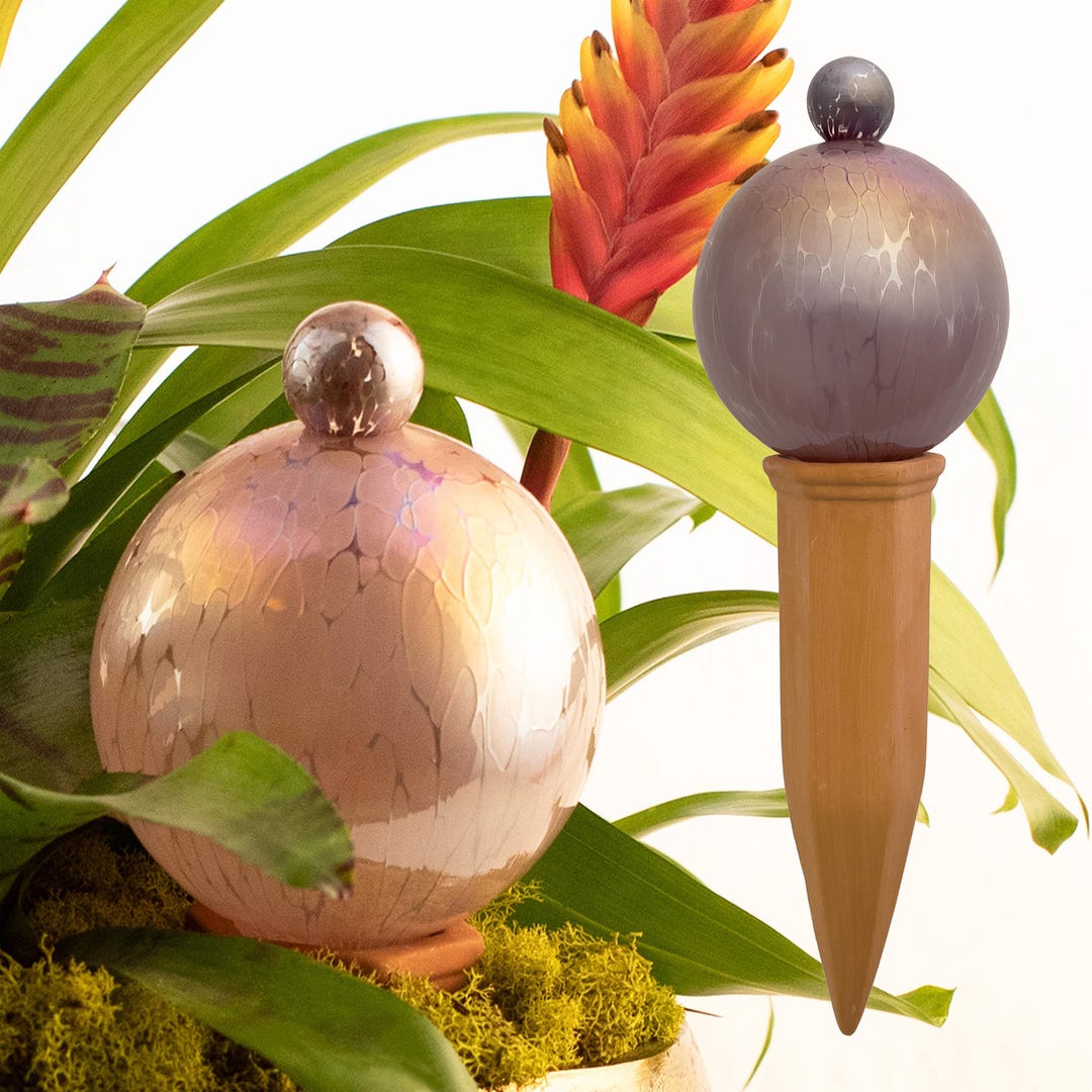 9CM LILAC IRIDESCENT Plant Watering Globe, Sip Squad Top Filled Spring ...
