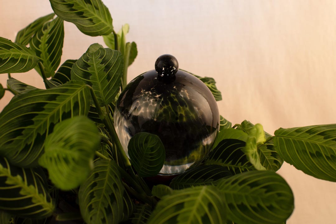 12CM ONYX Plant Watering Globe, Sip Squad Top Filled Waterfall Globe ...