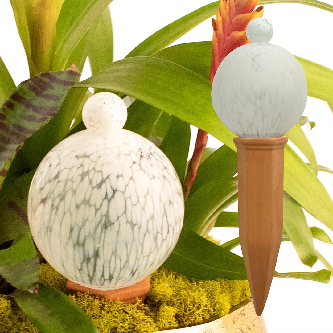 9CM CLOUD Plant Watering Globe, Sip Squad Top Filled Spring Globe, All ...