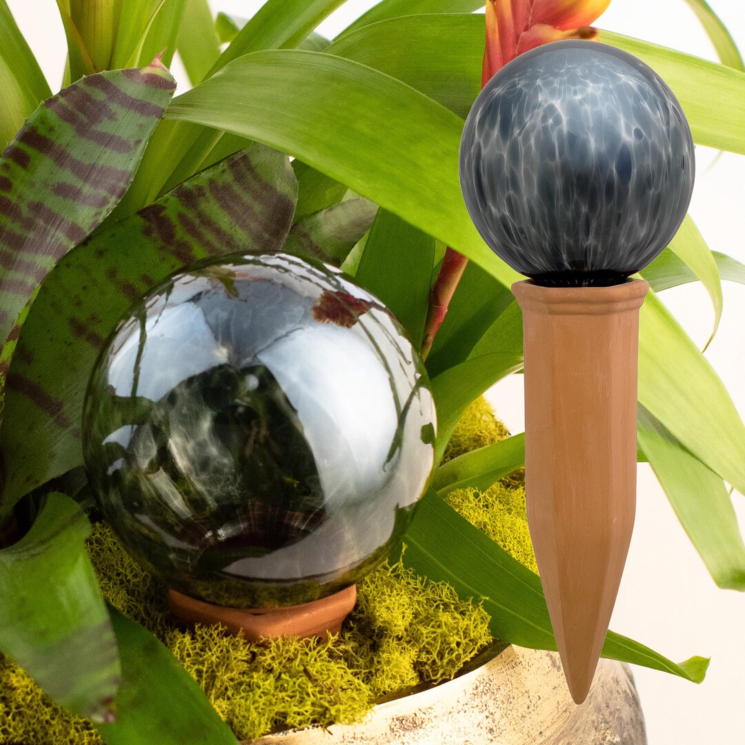 9CM ONYX IRIDESCENT Plant Watering Globe, Sip Squad Stem Filled Spring ...