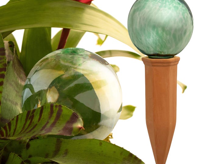 9CM EMERALD IRIDESCENT Plant Watering Globe, Sip Squad Stem Filled ...