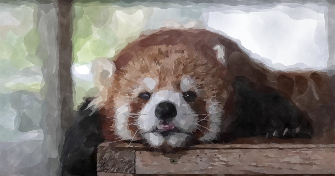 Printable Red Panda 69" Painting - Etsy
