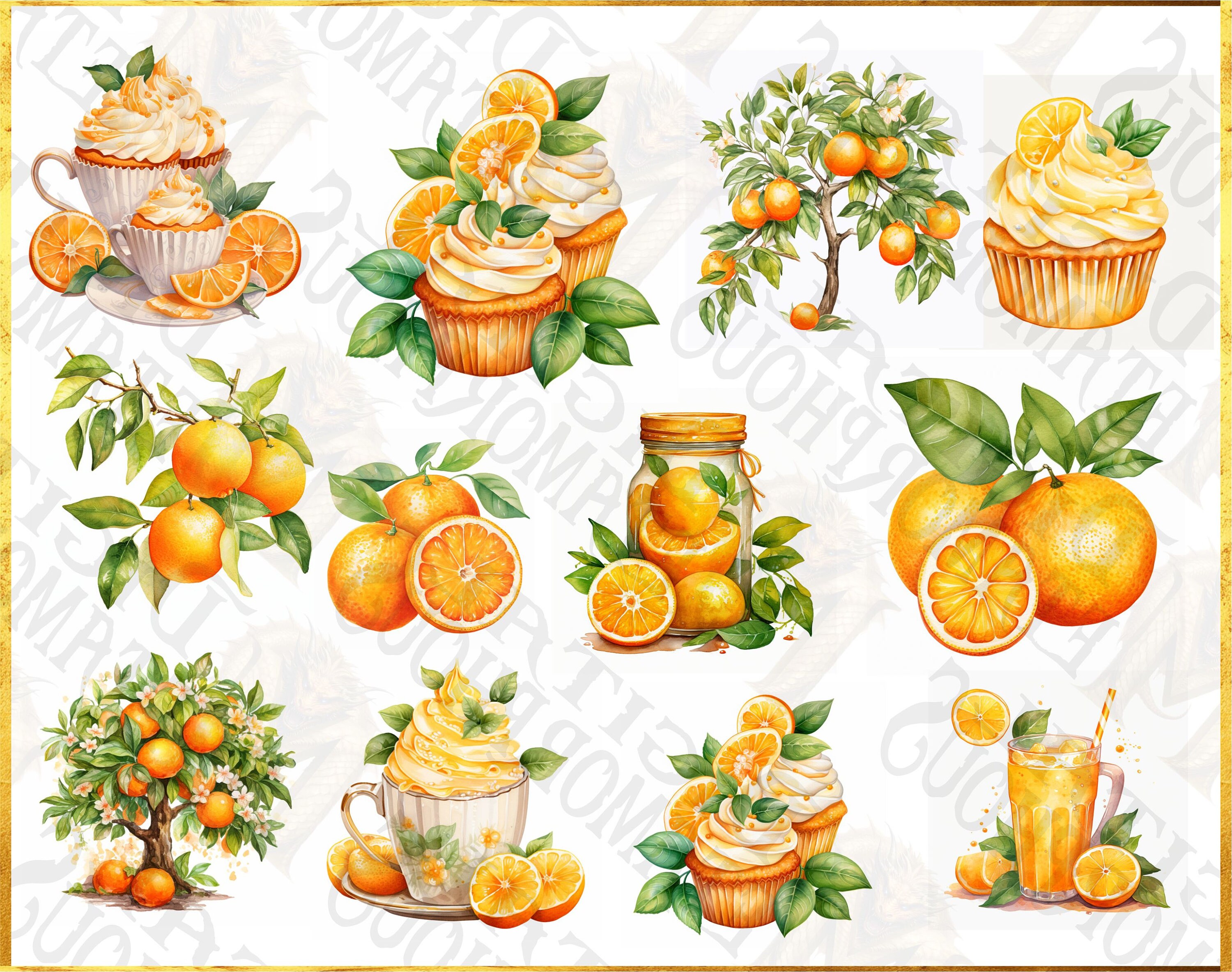 Watercolor Oranges Clipart, Digital Citrus Graphics, Download Instantly ...