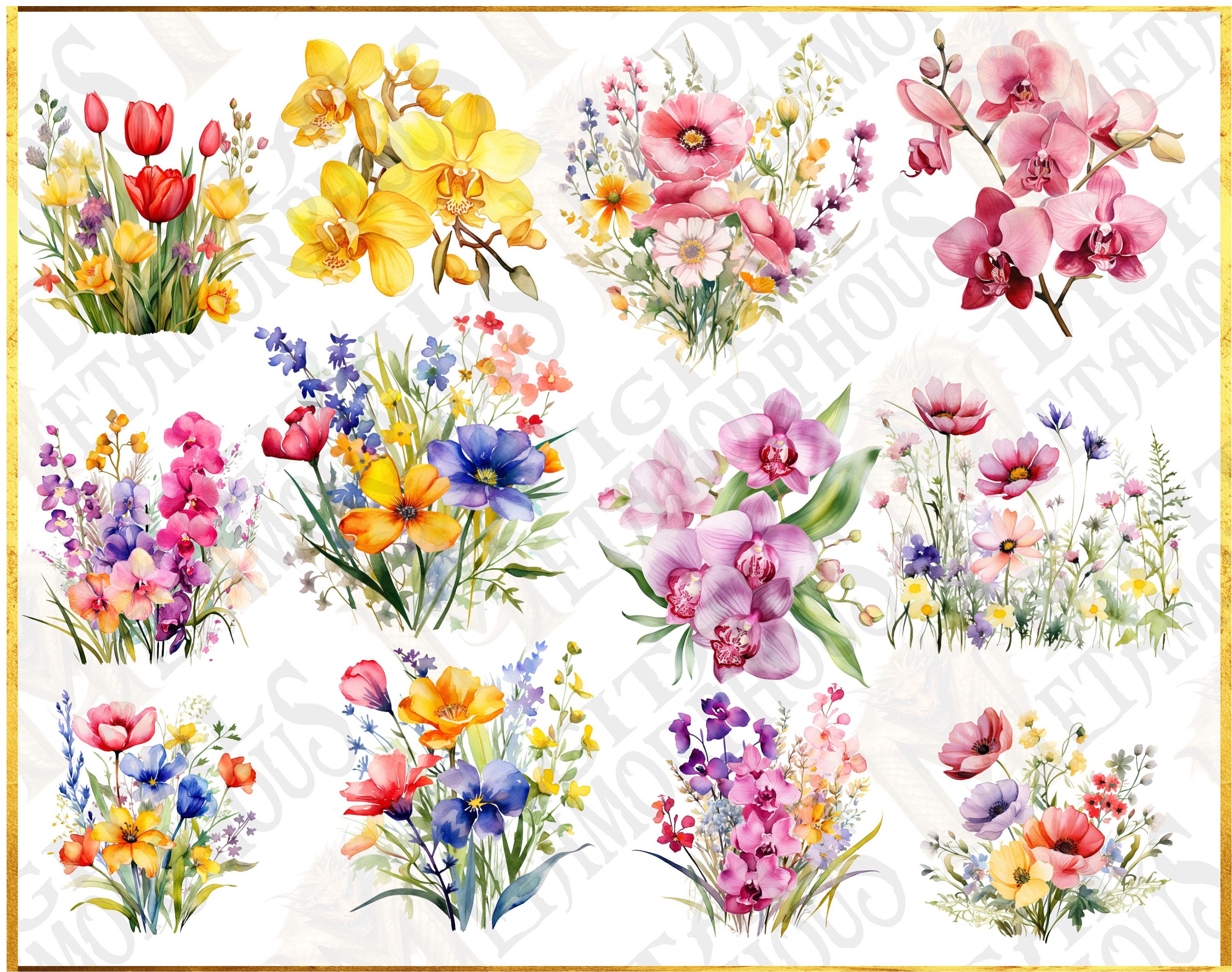 Watercolor Flowers Meadow Clipart, Spring Floral Wildflowers, Download ...