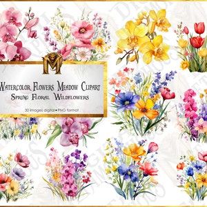 Watercolor Flowers Meadow Clipart, Spring Floral Wildflowers, Download ...