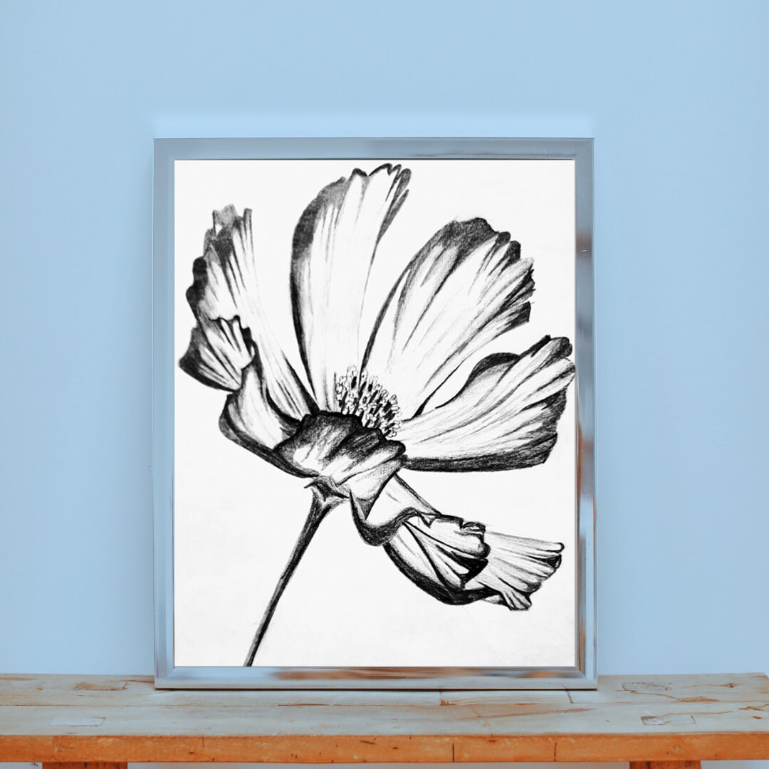Single Flower, Graphite Drawing, Handmade - Etsy
