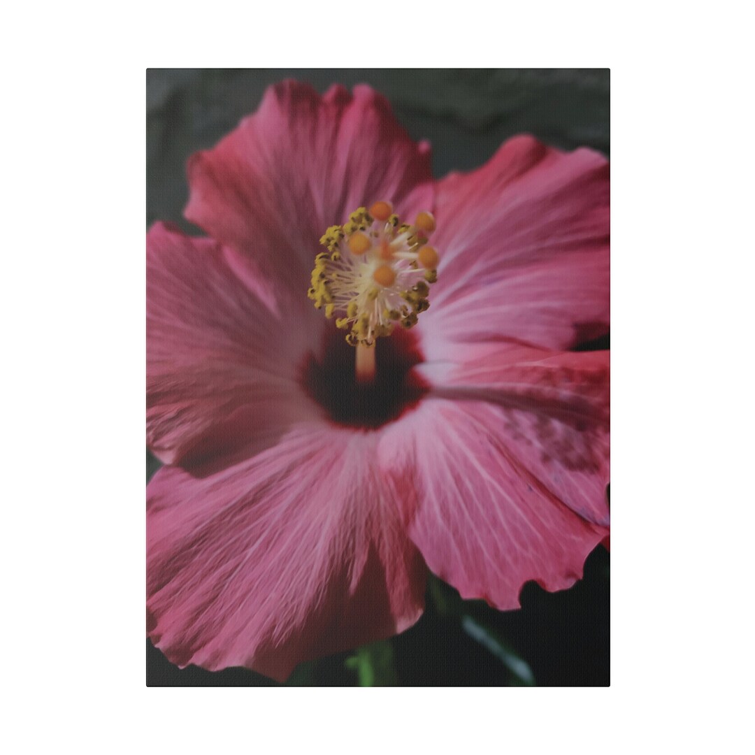 Hibiscus Flower Wall Art, Pink Flower Decor, Hibiscus Plant Art ...