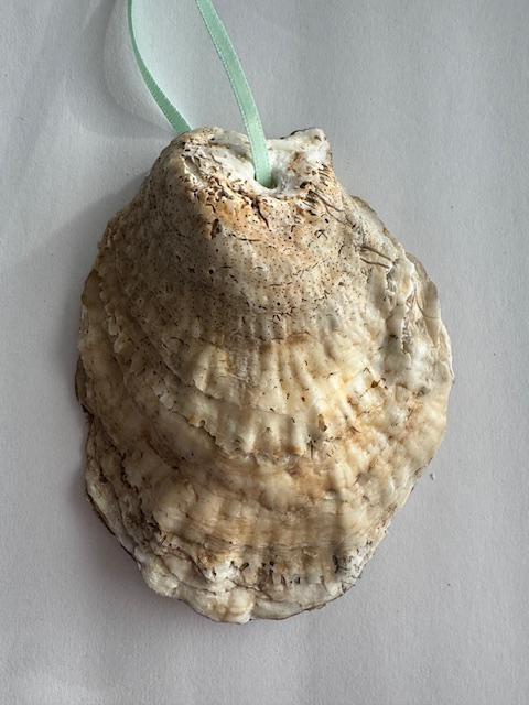 Decoupaged Sunflower Oyster Shell Ornament | Chesapeake Bay Decor - Etsy