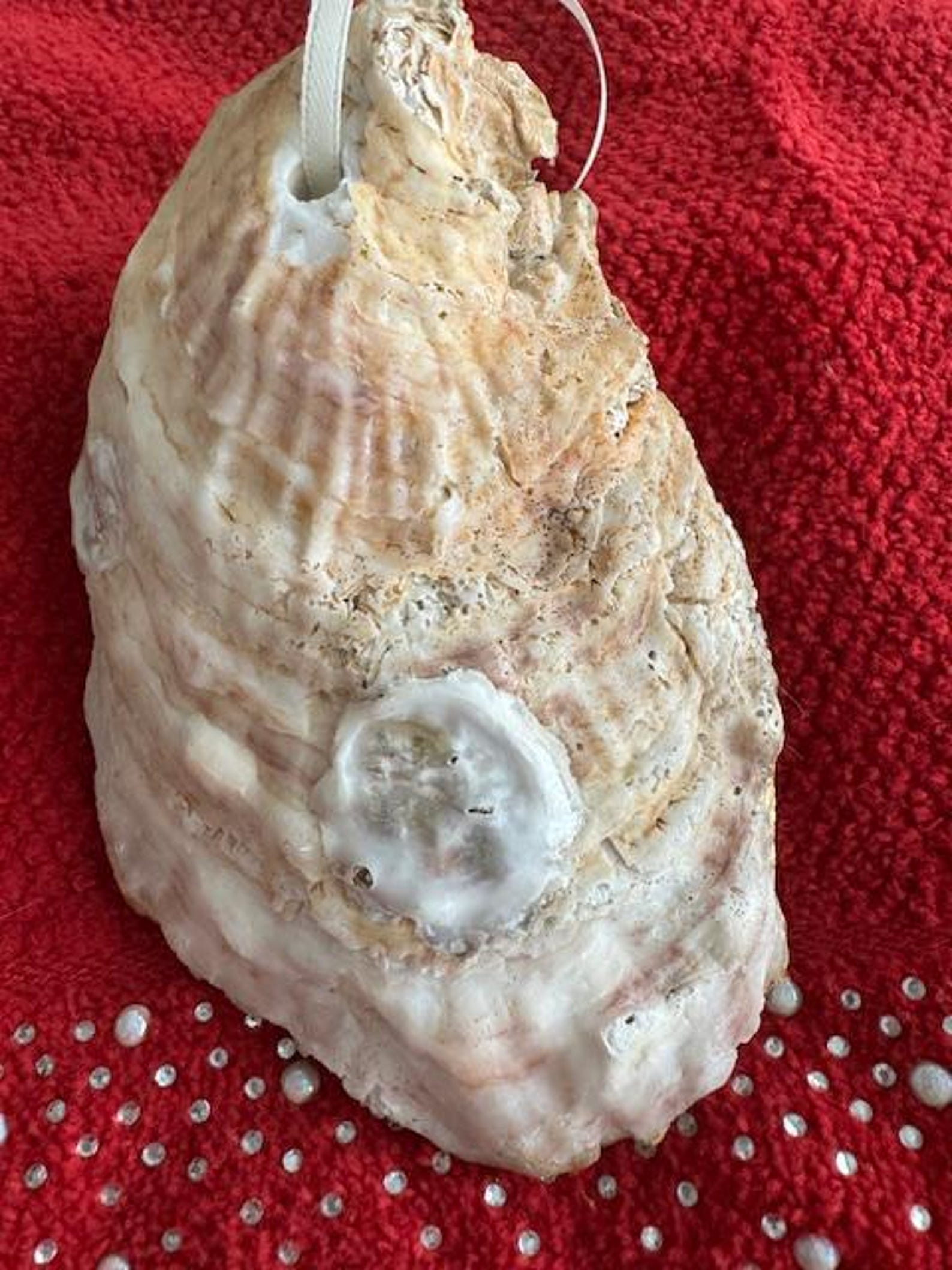 Festive Santa on the Beach Ornament Oyster Shell | Decoupaged Oyster ...