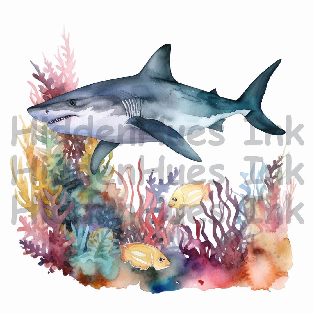 Watercolor Shark PNG Clipart-clipart Bundle-digital Download-300 DPI ...