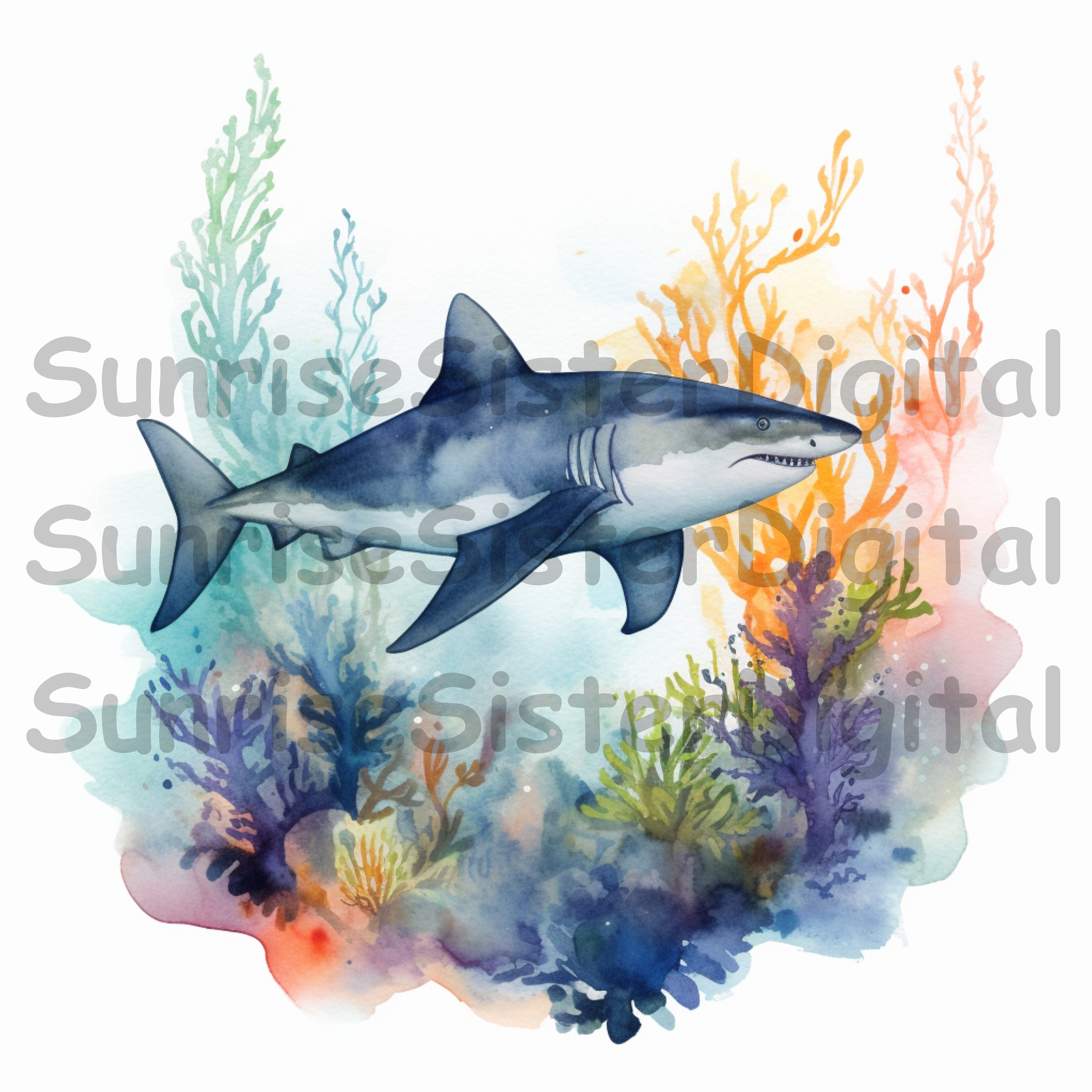 Watercolor Shark PNG Clipart-clipart Bundle-digital Download-300 DPI ...