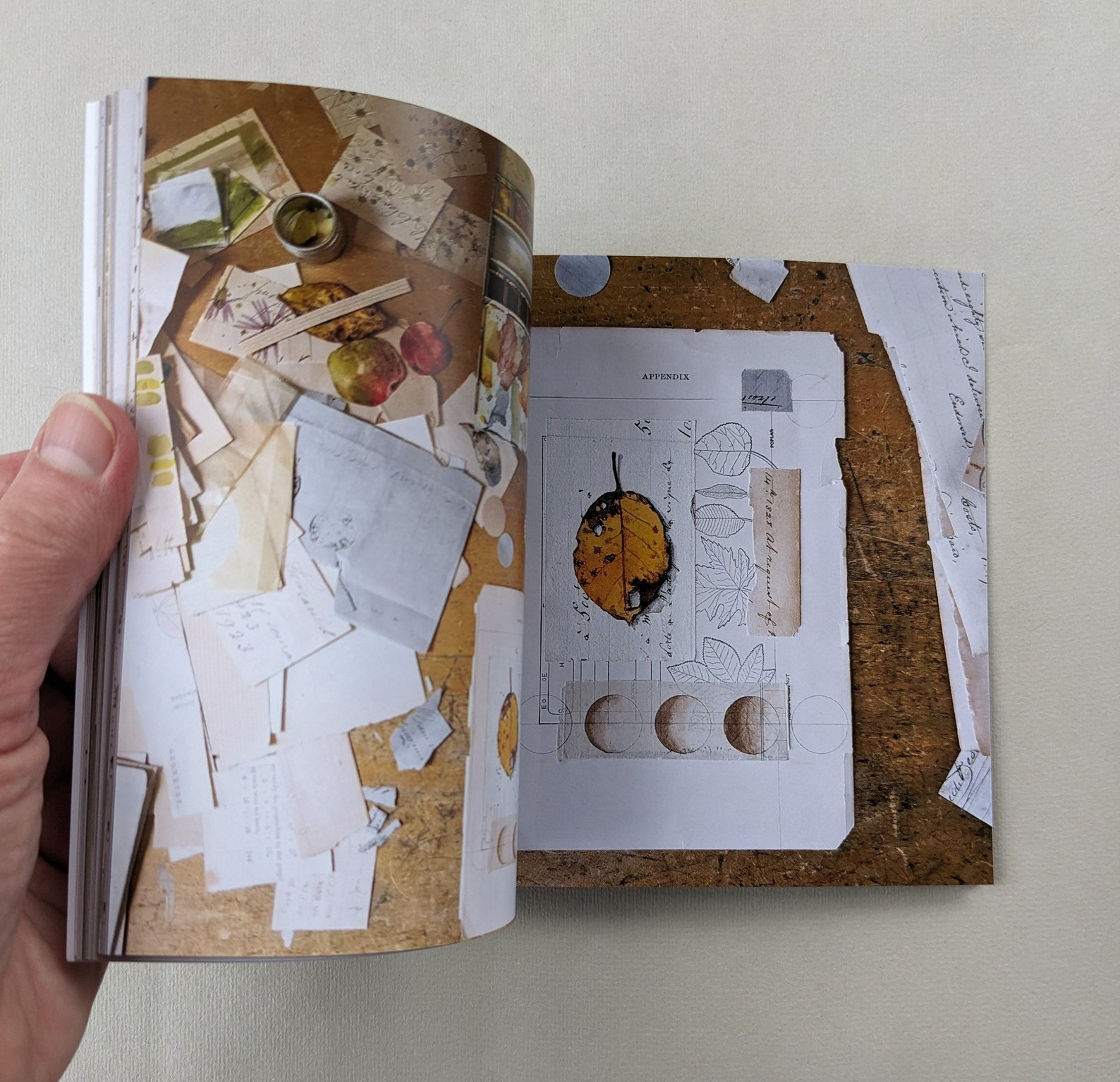 Glue, Paper, Scissors 2 Softcover Printed Book of Photographs of My ...