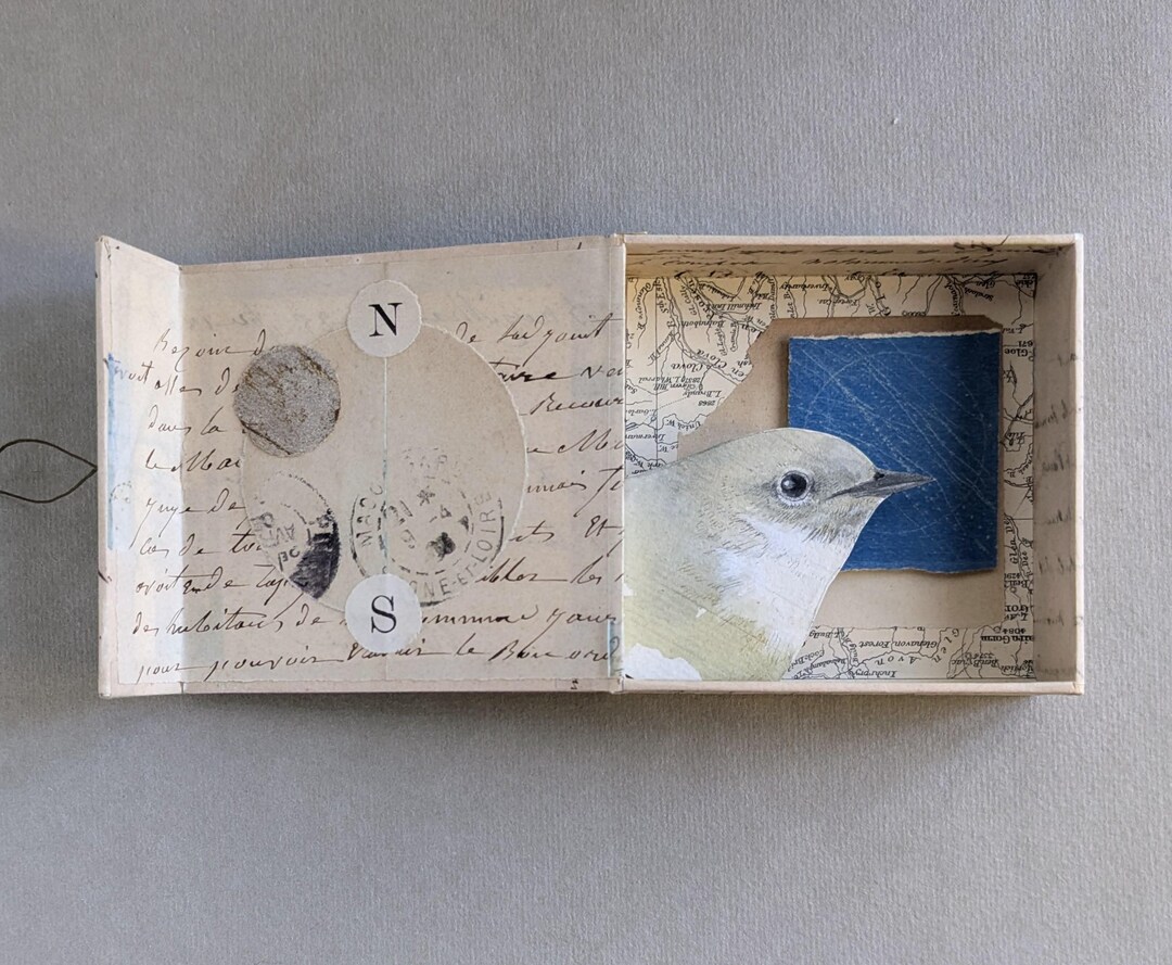 Bird Migration Collage Box - Etsy