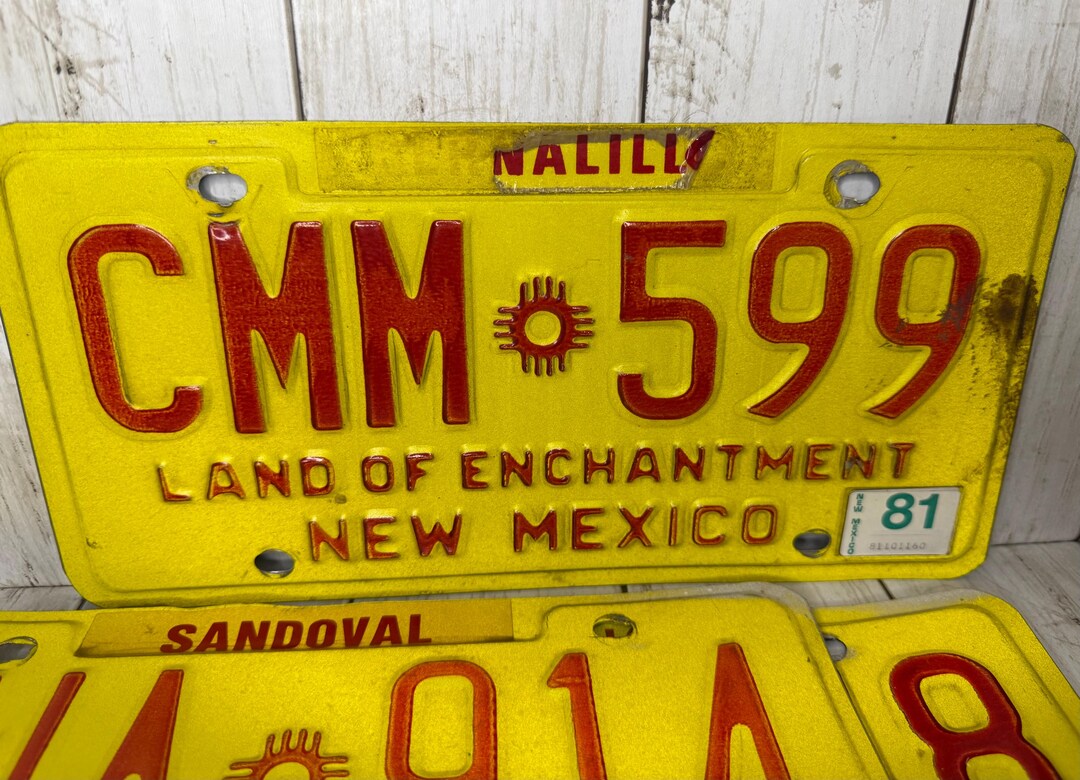 Lot of 4 New Mexico License Plates - Etsy