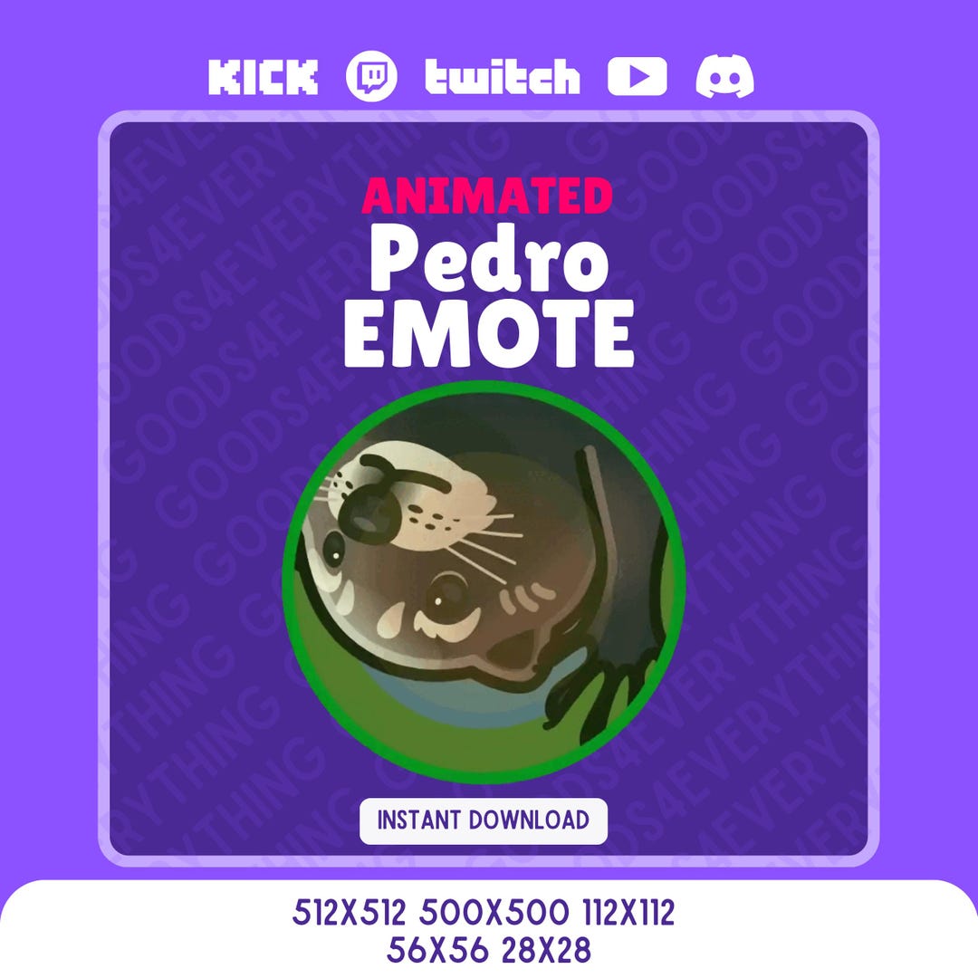 Pedro Dancing Raccoon Twitch Emote Meme Stream Raccoon Emote Animated ...