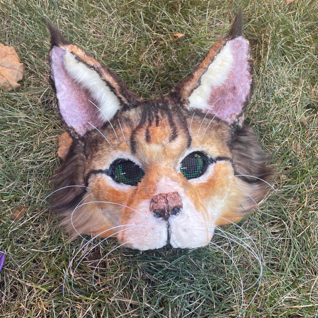 Maine Coon / Norwegian Forest Cat / Long Furred Cat | Handmade Animal ...